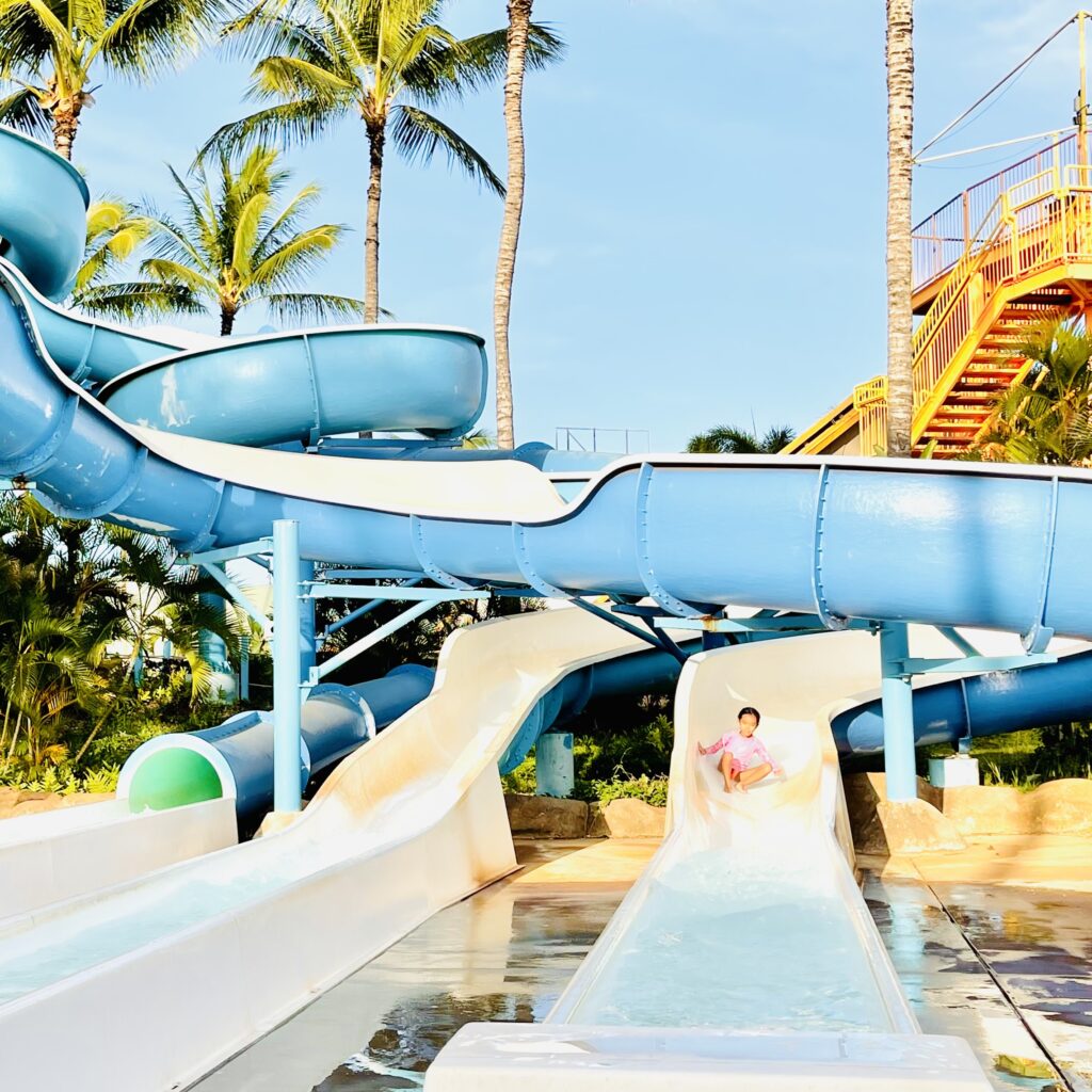 Surf Sliders | Wet'n'Wild Hawaii